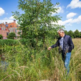 Burcht Wedde – Het mooiste plekje van Westerwolde!